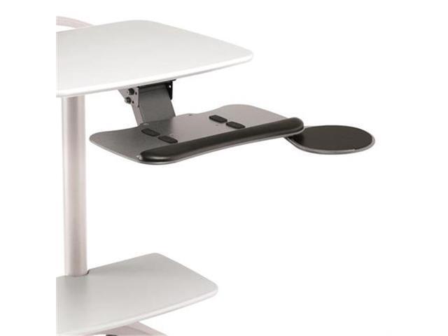 Click here for Ergotron 169BK Compact Keyboard and Mouse Caddy prices