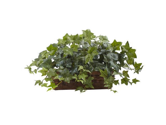 Click here for Puff Ivy with Ledge Basket prices