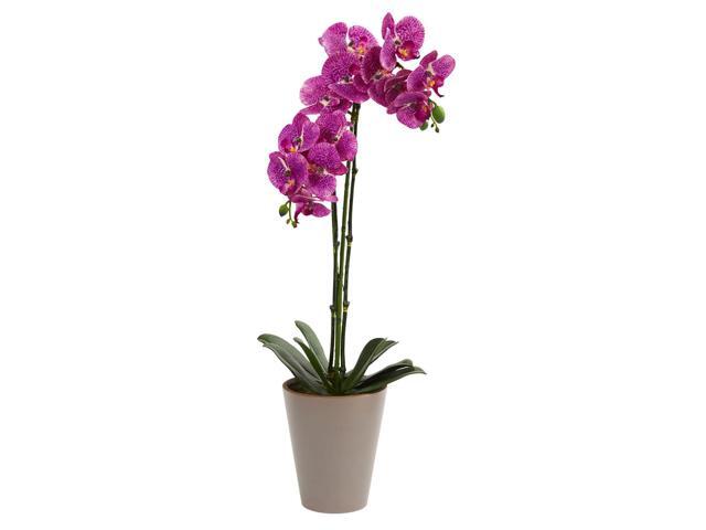 Click here for Home Decorative 24 Speckled Phalaenopsis Orchid Ar... prices