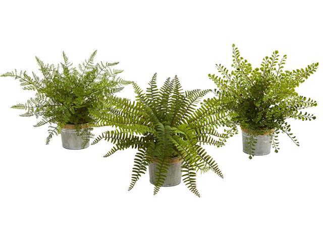 Click here for Home Decorative 14 Assorted Ferns with Planter Art... prices