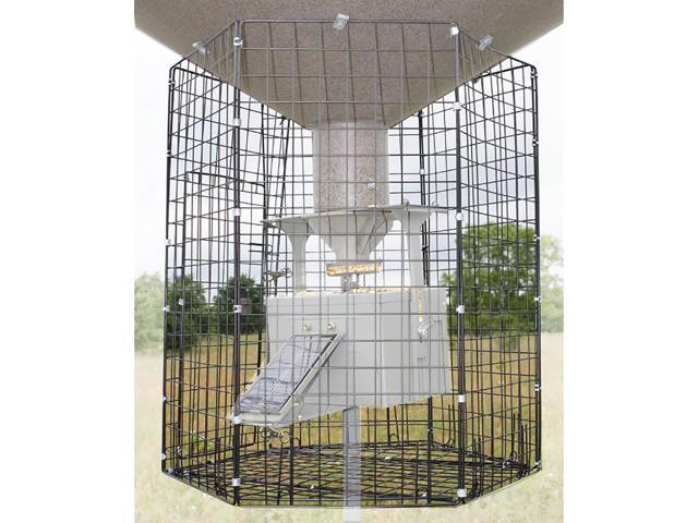Click here for BB-1VC Varmint Cage Large Deluxe Round prices