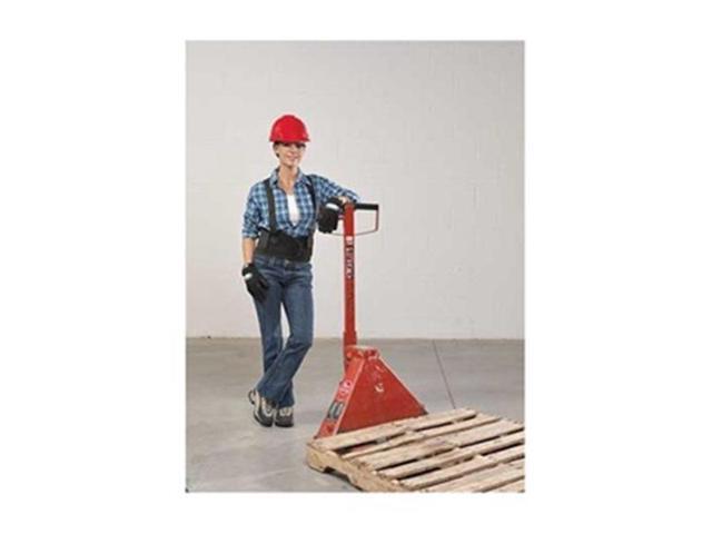 Click here for VALEO VI4675MEWWGL Back Support Elastic M prices