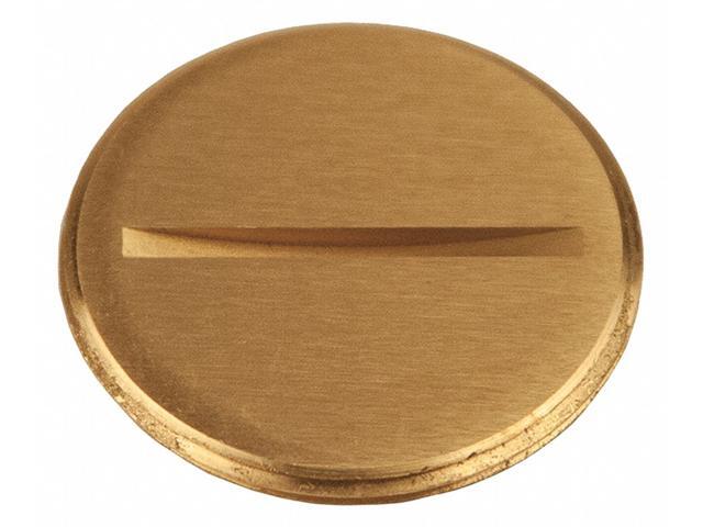 Click here for RACO 6226 Flush Replacement Plug 1-1/2 L Brass prices