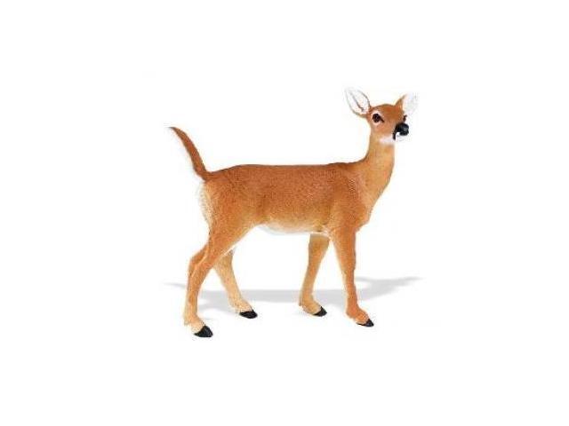 Click here for Safari Ltd Whitetail Doe North American Wildlife -... prices