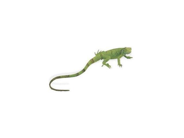 Click here for Safari Incredible Creatures - Iguana Baby prices