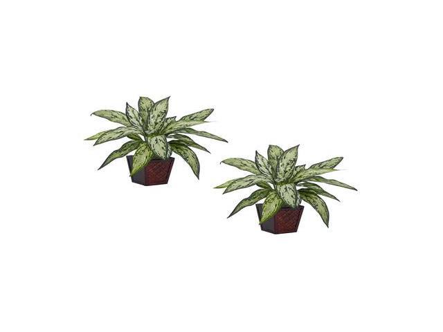 Click here for Silver Queen Silk Plant (Set of 2) prices