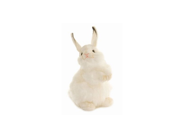 Click here for Baby White Rabbit 12.6 by Hansa prices