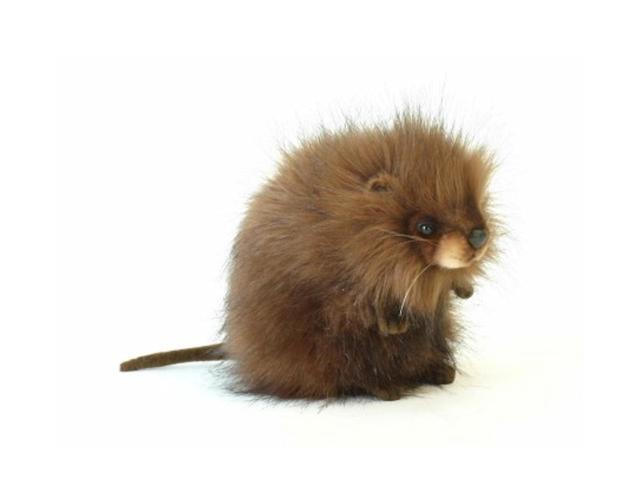 Click here for Hansa Muskrat prices