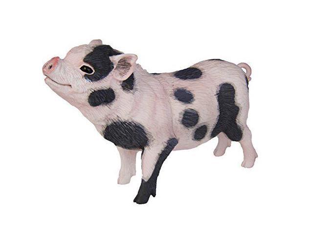 Click here for Pot-Bellied Pig prices