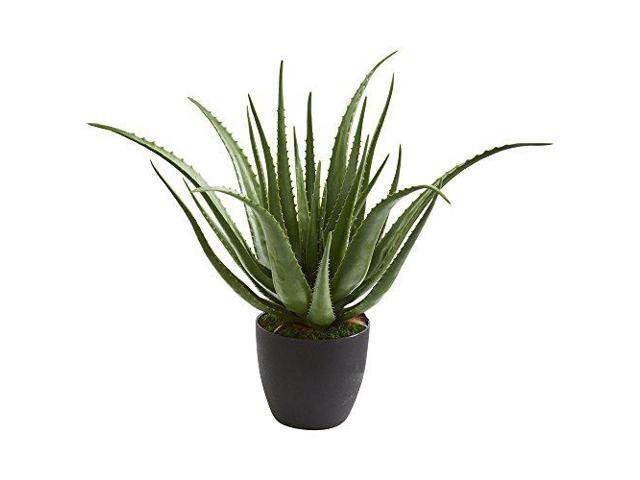 Click here for Nearly Natural Aloe Artificial Silk Plants Green prices