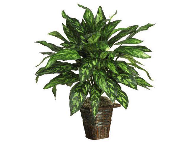 Click here for Silver King w/Basket Silk Plant prices