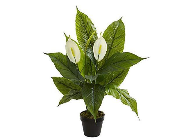 Click here for 26 Spathiphyllum Artificial Plant (Real Touch) prices