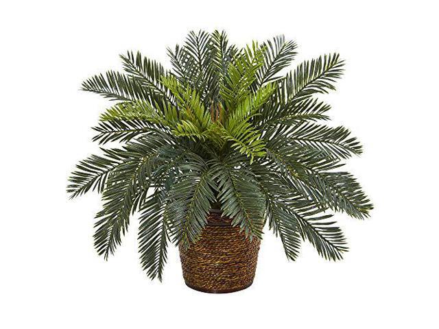 Click here for 15 Cycas Artificial Plant in Basket prices