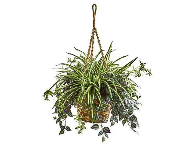 Click here for 30 Wandering Jew & Spider Artificial Plant in Hang... prices
