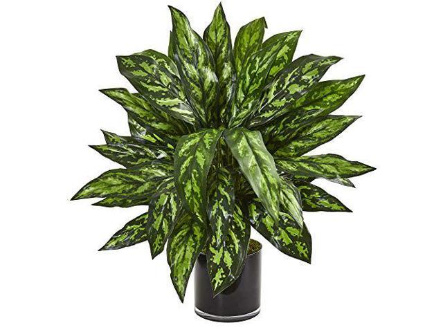 Click here for Silver King Artificial Plant in Black Glass Vase prices