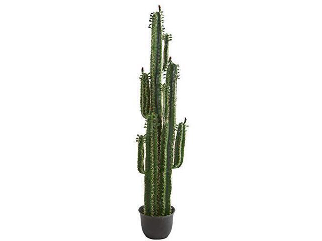 Click here for 6.5 Cactus Artificial Plant prices