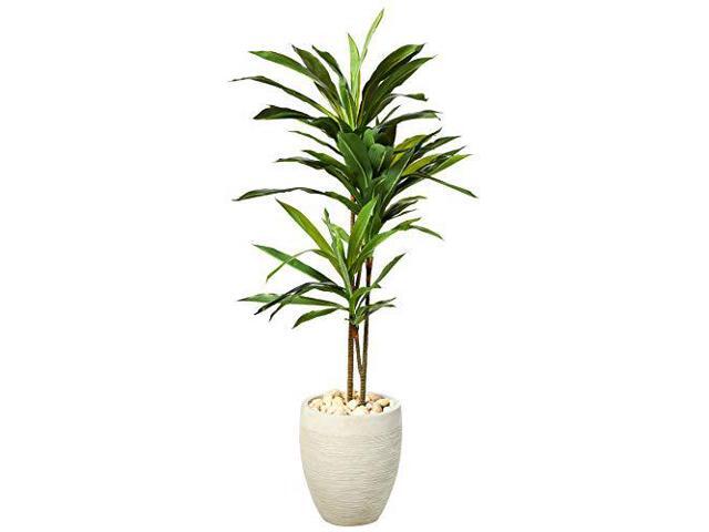 Click here for 4 Dracaena Artificial Plant in Sand Colored Plante... prices