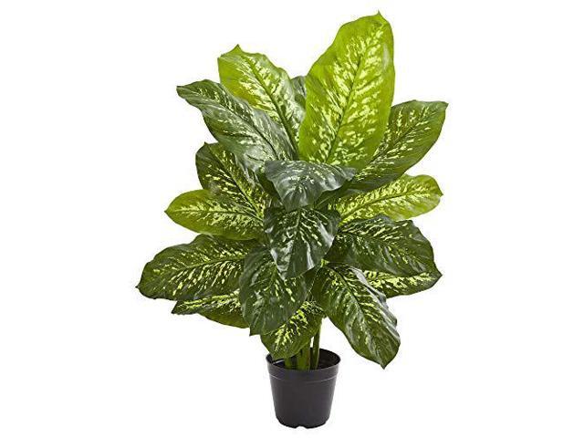 Click here for 34 Dieffenbachia Artificial Plant (Real Touch) prices