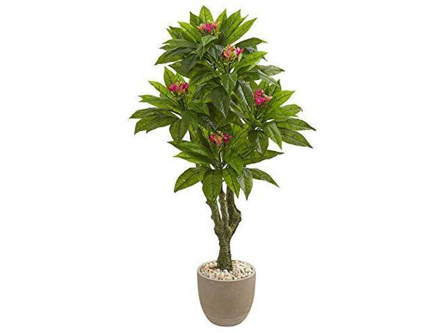 Click here for 5 Plumeria Artificial Tree in Decorative Planter U... prices