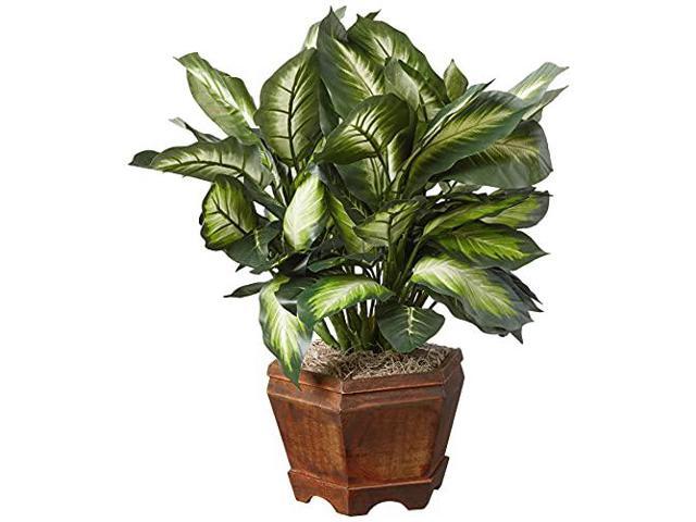 Click here for Triple Golden Dieffenbachia w/Wood Vase prices