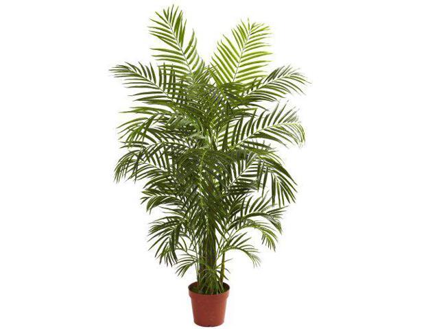 Click here for 4.5 Areca Palm UV Resistant (Indoor/Outdoor) prices