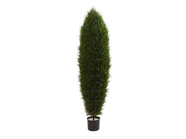 Click here for 5 Cypress Tree UV Resistant (Indoor/Outdoor) prices