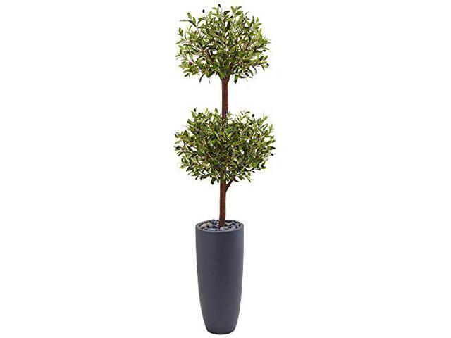 Click here for 6 Olive Double Tree in Gray Cylinder Planter prices