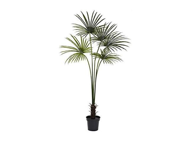 Click here for 7 Fan Palm Tree UV Resistant (Indoor/Outdoor) prices