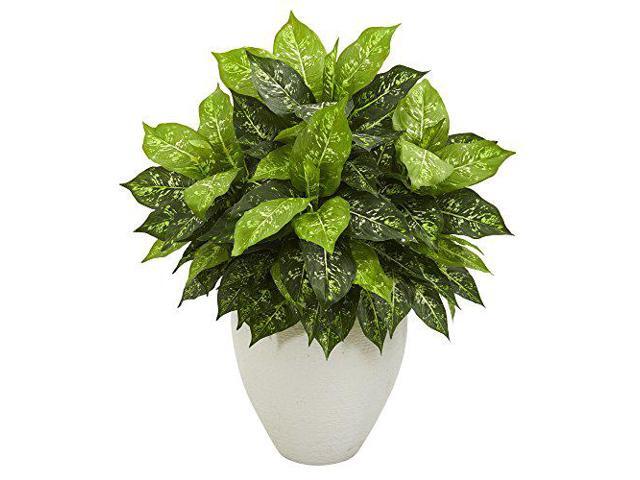 Click here for Dieffenbachia Artificial Plant in White Planter prices