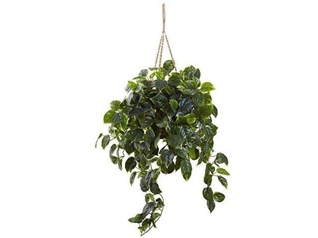 Click here for Pothos Hanging Basket UV Resistant (Indoor/Outdoor... prices