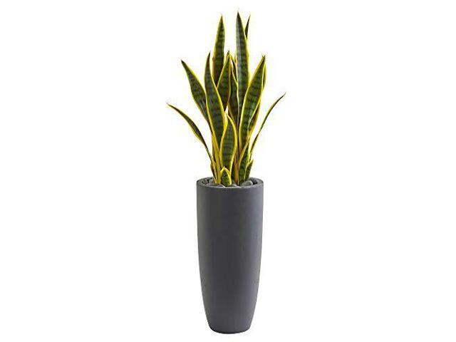 Click here for 3 Sansevieria Artificial Plant in Gray Bullet Plan... prices