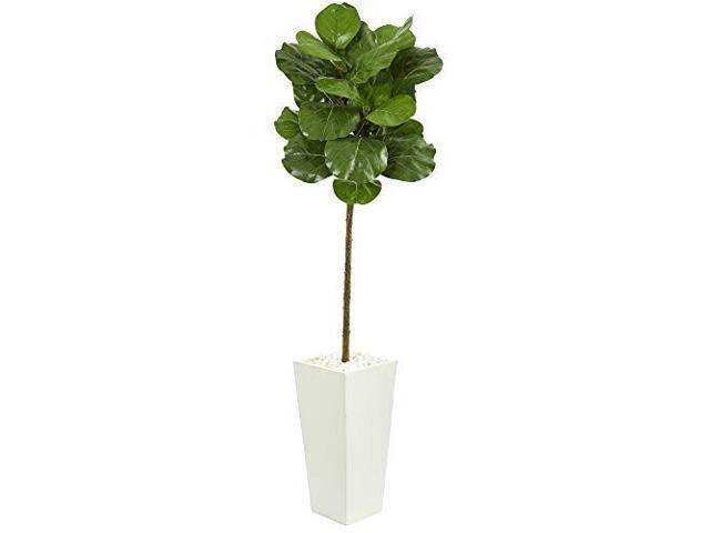 Click here for 5.5 Fiddle Leaf Artificial Tree in White Tower Pla... prices