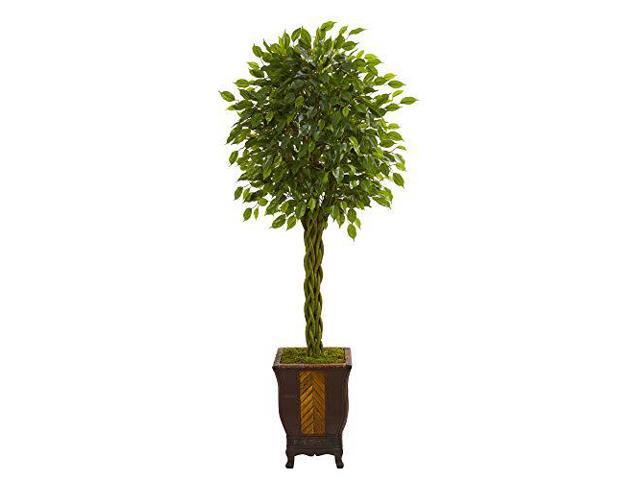 Click here for 6 Braided Ficus Artificial Tree in Decorative Plan... prices