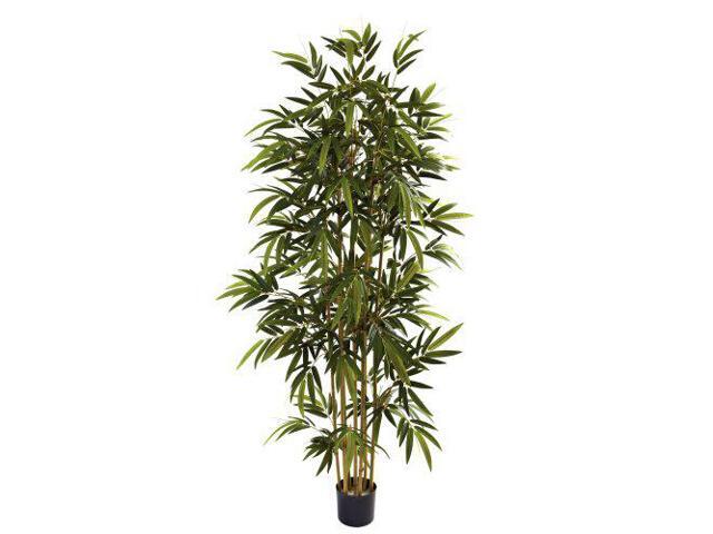 Click here for 6 Bamboo Tree prices