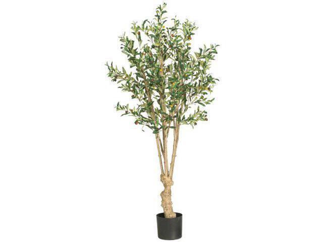 Click here for 5 Olive Silk Tree prices