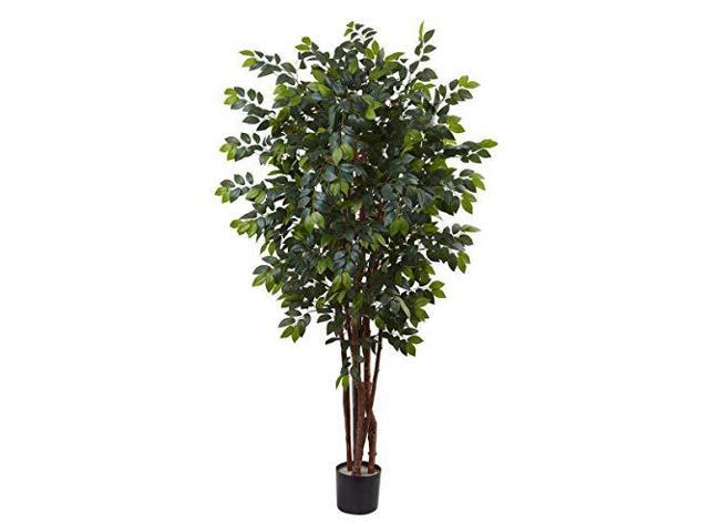 Click here for 7 Sakaki Silk Tree prices