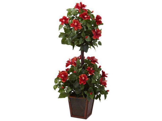 Click here for 39 Hibiscus Topiary prices