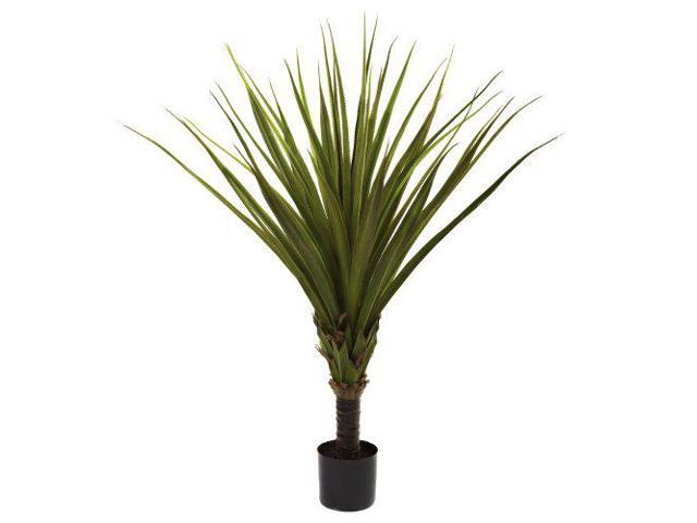 Click here for 5 Spiked Agave Tree prices