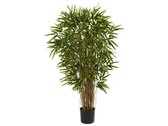 Click here for 4 Twiggy Bamboo Tree prices