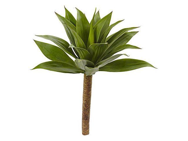 Click here for 32 Agave Plant w/Stem prices