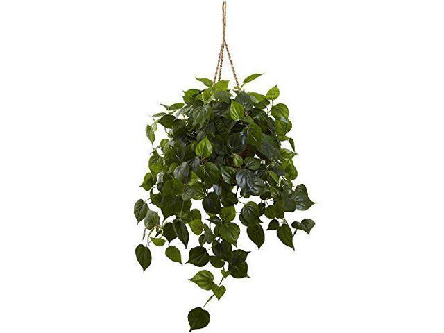 Click here for Philodendron Hanging Basket UV Resistant (Indoor/O... prices