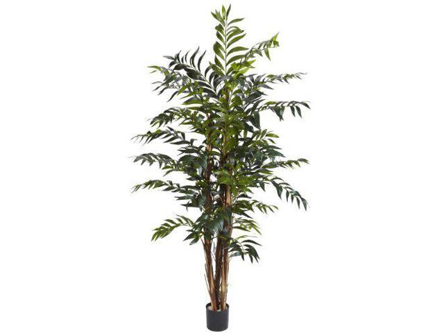 Click here for 5 Bamboo Palm Silk Tree prices