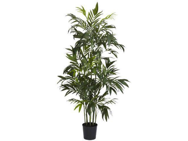Click here for 6 Bamboo Palm Silk Tree prices