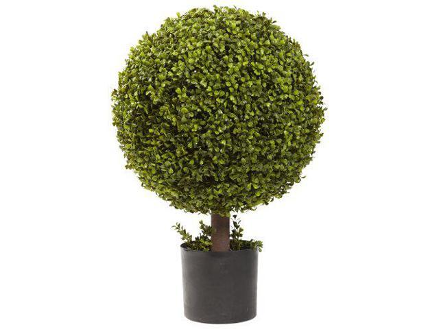Click here for 27 Boxwood Ball Topiary prices