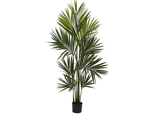 Click here for 7 Kentia Palm Silk Tree prices