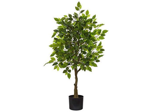 Click here for 39 Ficus Artificial Tree prices