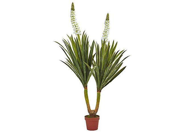 Click here for 57 Flowering Yucca Plant prices