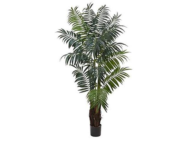 Click here for 7.5 Bulb Areca Palm Tree prices