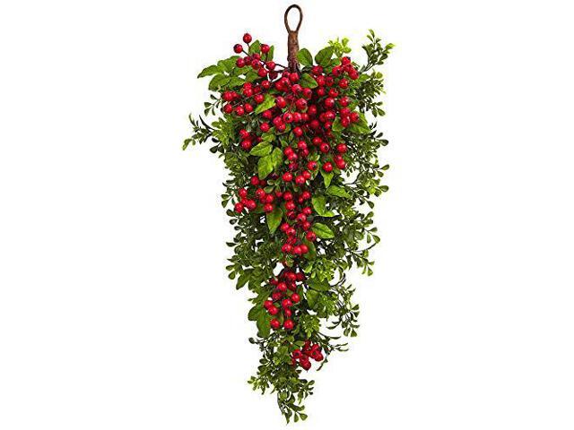 Click here for 26 Berry Boxwood Teardrop prices