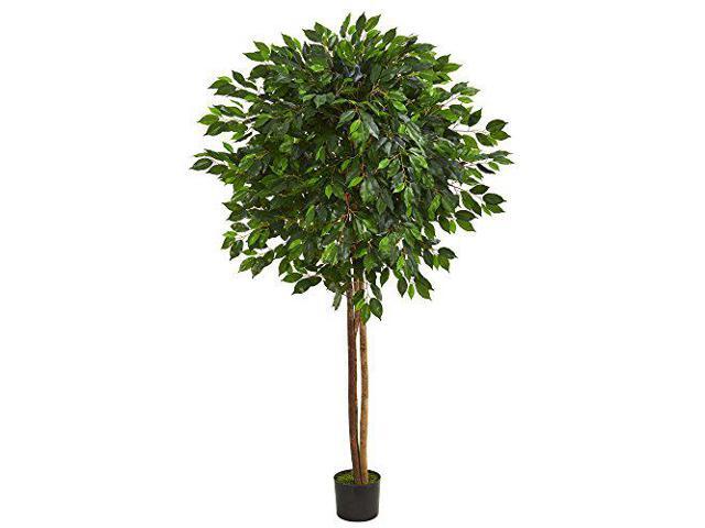 Click here for 6.5 Ficus Artificial Tree prices